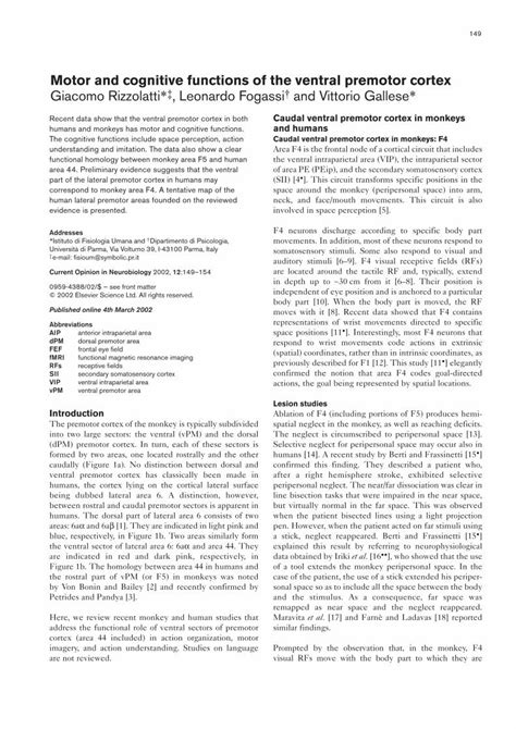 Pdf Motor And Cognitive Functions Of The Ventral Premotor Cortex