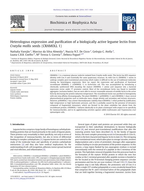 Pdf Heterologous Expression And Purification Of A Biologically Active Legume Lectin From