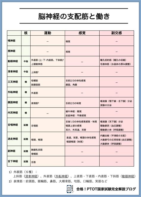 脳神経の支配筋と働き（表情筋・眼球運動・舌の運動 感覚 味覚） 合格！ptot国家試験完全解説ブログ