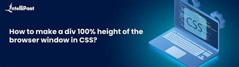 How To Make A Div 100 Height Of The Browser Window In Css