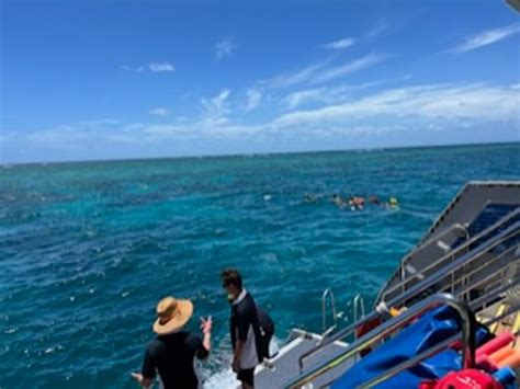 줌줌 후기 그레이트 배리어 리프 체험 스쿠버다이빙스노클링헬기옵션 다운언더ducd 임정