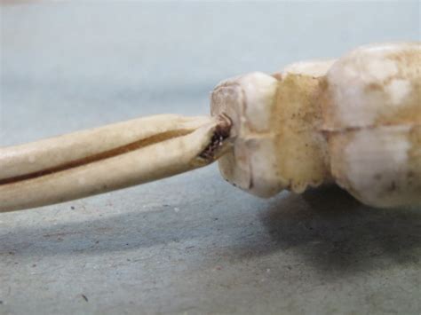 Lamp Parts And Repair Lamp Doctor Older Lamp With Terminal Socket And Safety Concerns