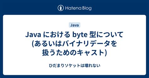 Java における Byte 型について あるいはバイナリデータを扱うためのキャスト ひだまりソケットは壊れない