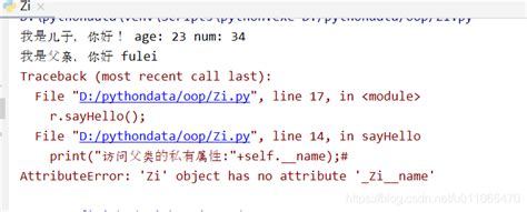Python 高级篇 面向对象 6 子类访问父类的私有属性子类可以访问父类的私有属性 Csdn博客