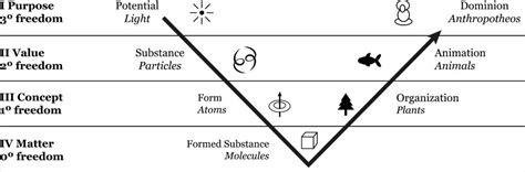 The Theory Of Evolutionary Process As A Unifying Paradigm