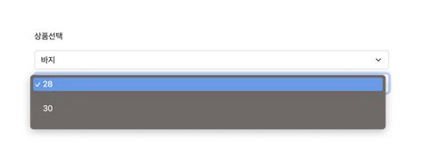 Select 인풋 다루기 코딩애플 온라인 강좌