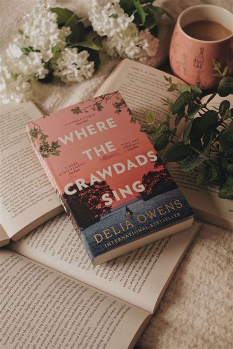 Where The Crawdads Sing Lezen