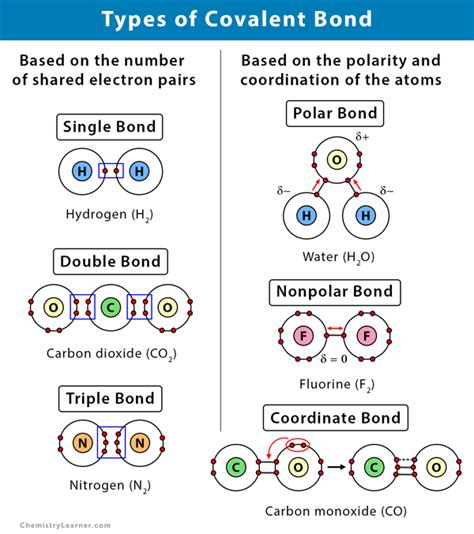 Polar Covalent Bond Number