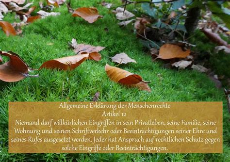 Direitos Humanos Privacidade Foto Gratuita No Pixabay Pixabay