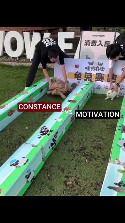 Yassine Benaddou Idrissi On Linkedin Motivation Vs Consistance