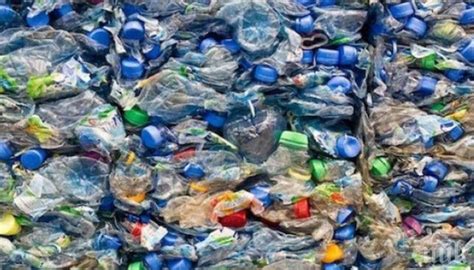 Кампания за разделно събиране на пластмасови отпадъци в Ловеч Информационна агенция ПИК