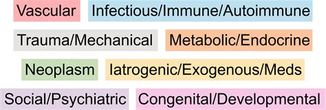 Diagnostic Schema Maker Diagnostic Schema Maker