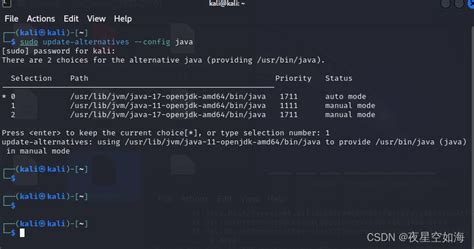 Kali Linux多版本java共存并自由切换 Update Alternativesupdate Alternatives Java