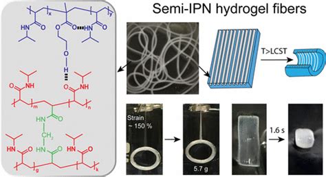 来自具有高弹性和快速驱动力的连续流体加工的热响应性半ipn水凝胶微纤维 Acs Applied Materials And Interfaces X Mol