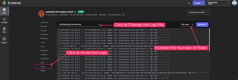 How To View Server Logs