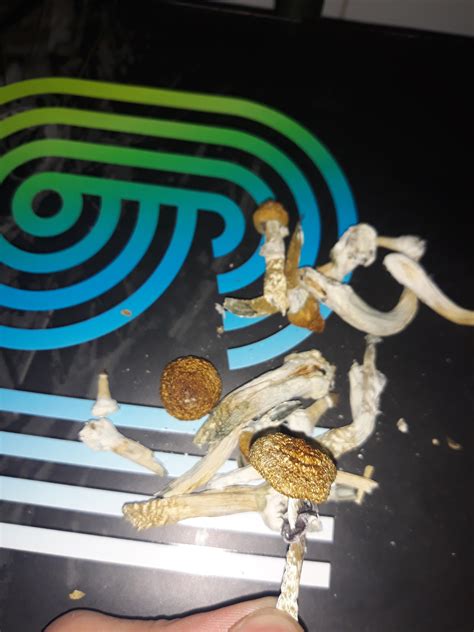 Just Got What S Supposed To Be G Dried First Time Bought From A Pretty Cool Guy That I Know