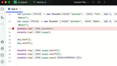 Bun WebStorm Documentation