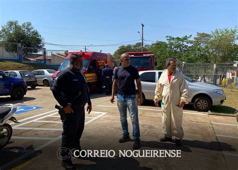 Crianças E Funcionários São Atacados Por Abelhas Em Creche De Artur Nogueira Correio Nogueirense