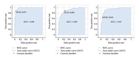 Roc Curve Auc To Describe The Performance Of The Binary Classifier For