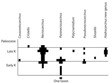 Spindle Diagram Of Total Number Of Species Per Genus Of Download High Quality Scientific