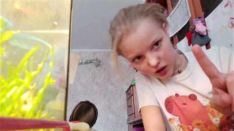 Нора для котика Youtube