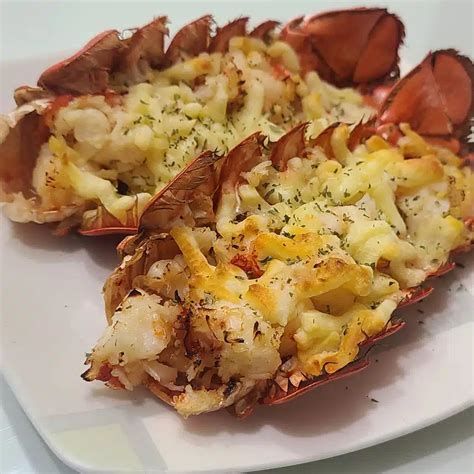 랍스터 테일 요리 트로스트 커뮤니티