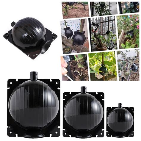 Rooting Plant Cuttings Plant Rooting Device Plant Grandado