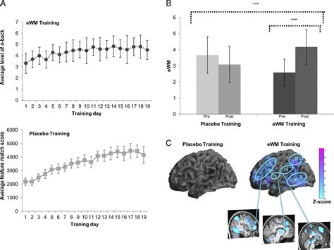 Training The Emotional Brain Improving Affective Control Through Emotional Working Memory