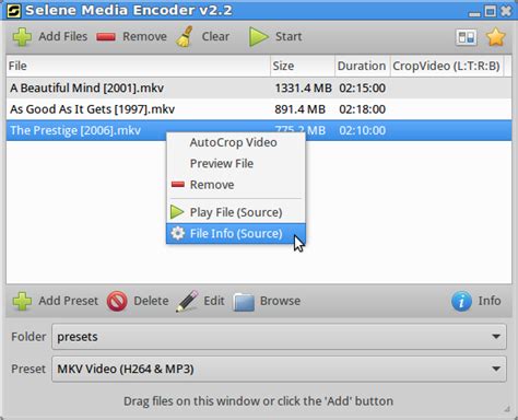Install Selene To Easily Convert Audio Video Files On Ubuntu Linux