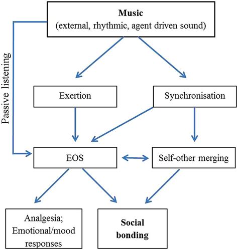 Schematic Diagram Illustrating Possible Direction Of Causality And