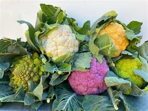 Inspired By Mandy Added A New Photo Inspired By Mandy