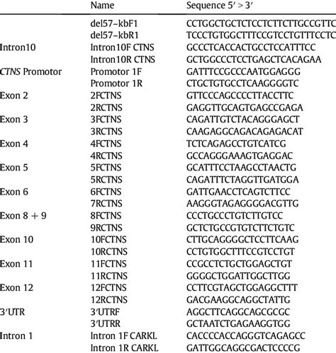 Primer For Multiplex And Pcr Amplifications Download Table