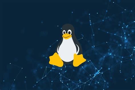 How To Set Up Raspberry Pi OS On QEMU Linux Windows RaspberryTips