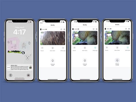 the best camera bird feeder for backyard birdwatching netvue birdfy review hgtv