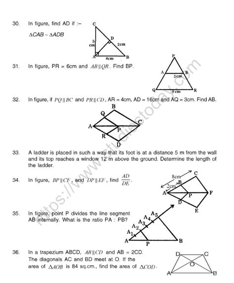 Worksheet On Triangles Class 10 Cbse At Rose Holeman Blog