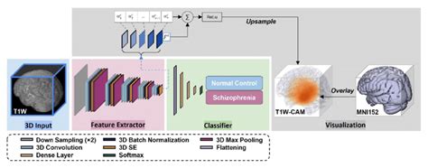 The Flow Of The Classification And Visualization In The 3d Se Vgg 11bn Download Scientific