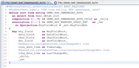 ABAP RESTful Application Programming Authorization Control Discovering ABAP