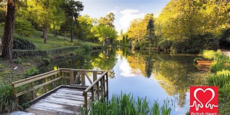 Michael Gover Is Fundraising For British Heart Foundation