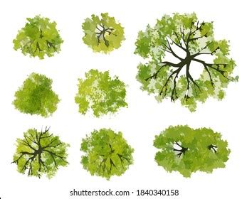 Set Watercolor Tree Top View Landscape Stock Illustration Shutterstock