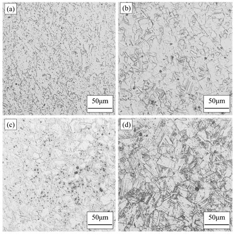 Investigation Of The Dynamic Recrystallization Of Femnsicrni Shape Memory Alloy Under Hot