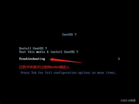 Linux的故障修复 linux系统修复 CSDN博客
