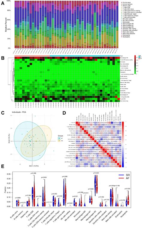 Immune Infiltration Analyses For Af The Proportion A And Heatmap B