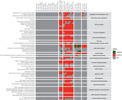 reactome pathway analysis shows the greatest pathway enrichment after