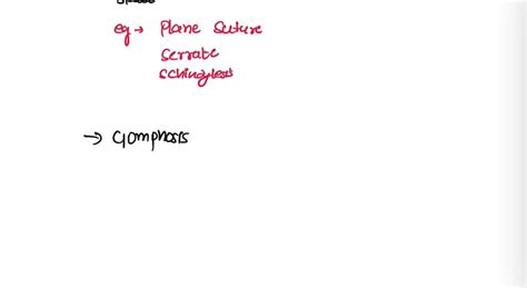 Solved Define Suture Gomphosis And Syndesmosis And Explain What These Three Joints Have In
