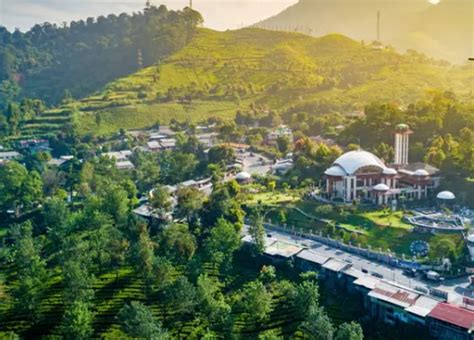 Bangunan Ilegal Di Puncak Akan Segera Digusur Cobisnis