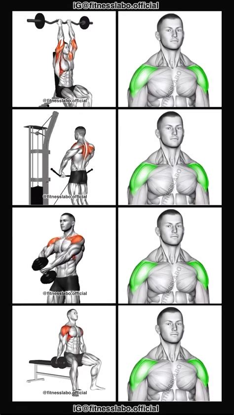 Gym Workout Motivation Not All Sugars Are Created Equal 🍓🍎 Lets Bust Some Myths And