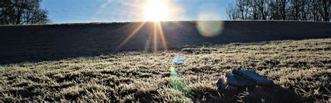 Munity Toothlesss Profil