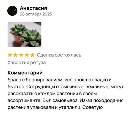 Мастер-классы для детей и взрослых - сделайте флорариум своими руками!