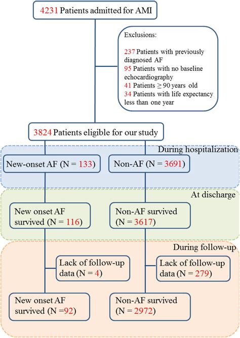 Atrial Fibrillation Treatment