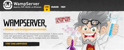 how to host your own website webmasters a web development company